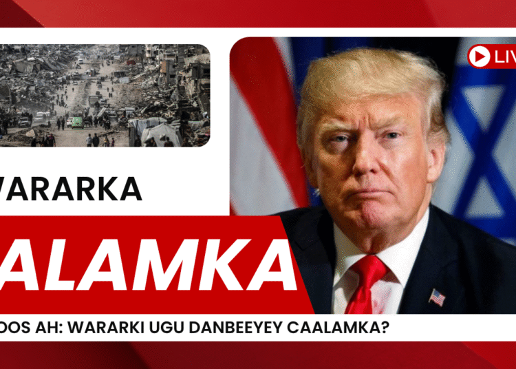 Wararka Manta – Wararka Ugu Dambeeyay Soomaaliya iyo Dunida